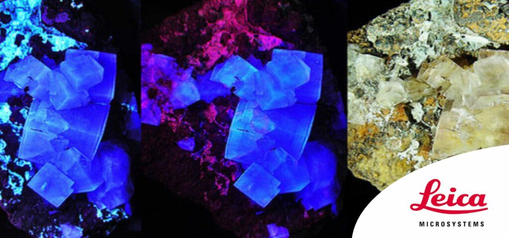 Fluorescence 101: A Beginners Guide to Excitation/Emission - Microscopy ...