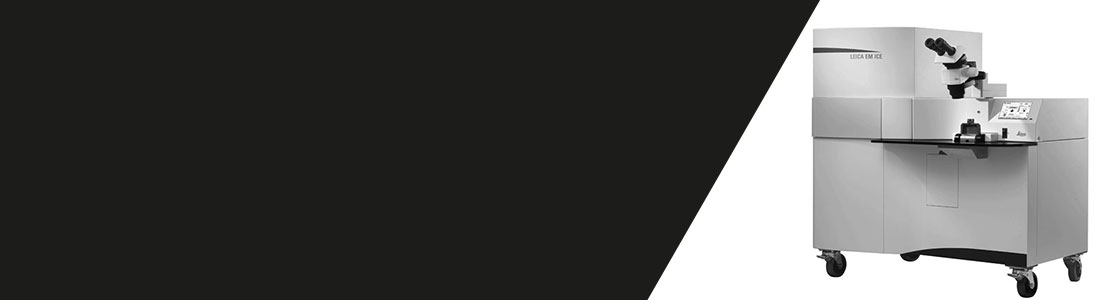 Fast, high-quality vitrification with the EM ICE High Pressure Freezer ...